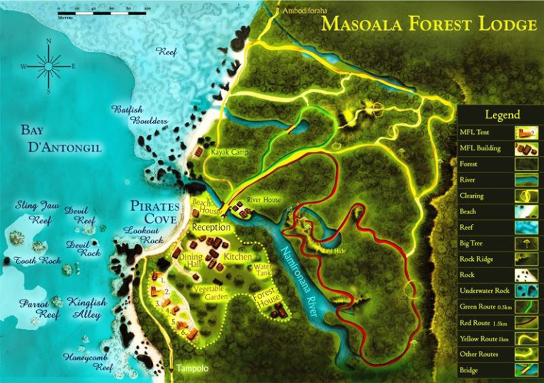 Adventure in Masoala Rainforest