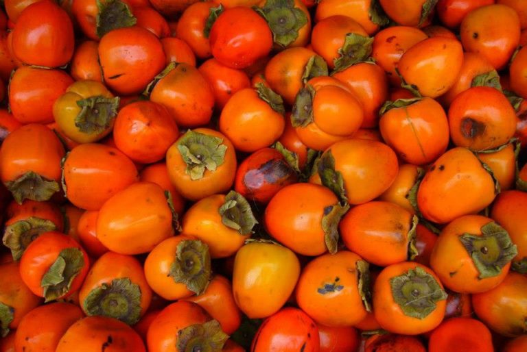 Fruits from Madagascar - all year round