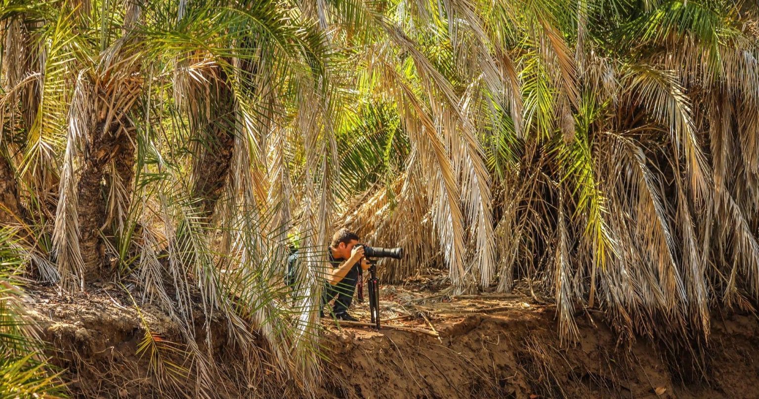 Extinct pygmy hippopotamus in Madagascar